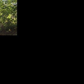 New director Colleen Callahan plans to be IDNR's advocate | Recreation ...