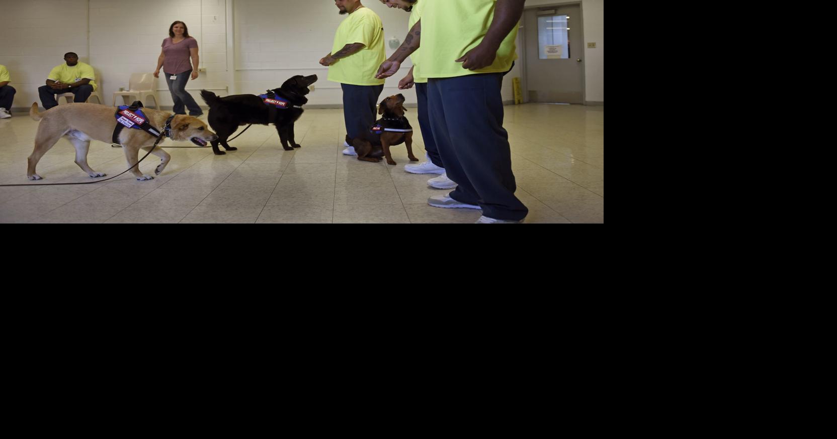 At Shawnee Correctional Center, offenders are training shelter dogs to ...