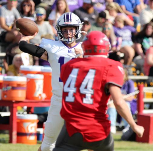 Burtis helps Bulldogs escape with win over Redbirds | Sports ...