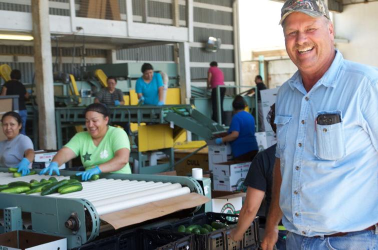 Cobden ag workers send estimated $30,000 a week to family abroad ...