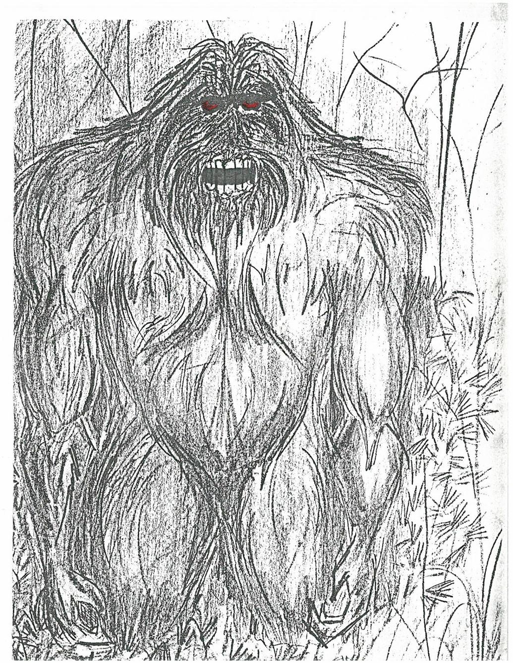 Strange sightings in Little Egypt: Do cryptids live in Southern ...