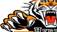 Herrin Tigers logo | | thesouthern.com