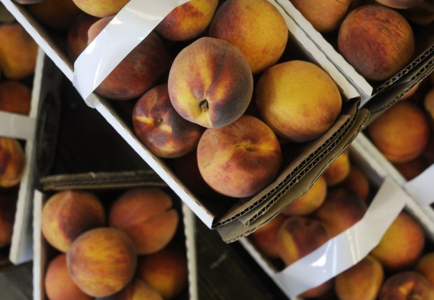 Extreme heat has been good for peaches | Local News | thesouthern.com