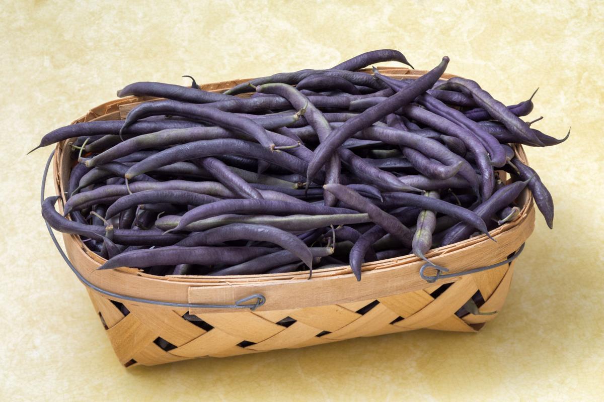 Purple hull peas are a lesser known legume at Southern Illinois farmers ...