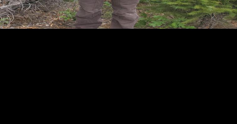 SIU forestry student tracks mule deer routes to protect habitats