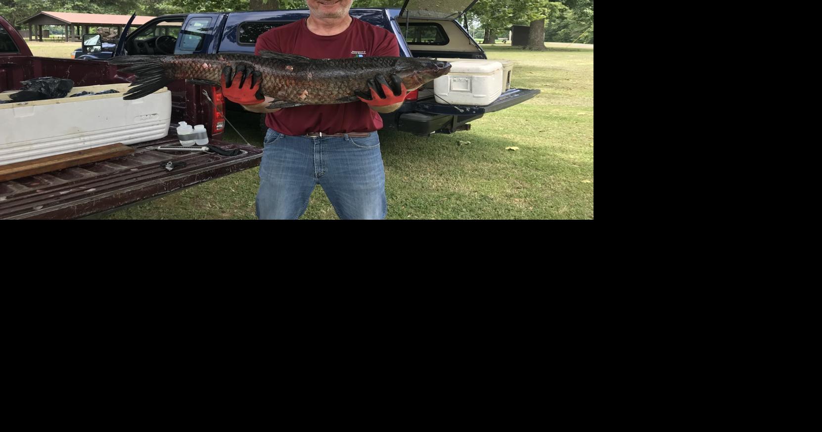 Outdoors | IDNR offers reward for invasive black carp, dead or alive ...