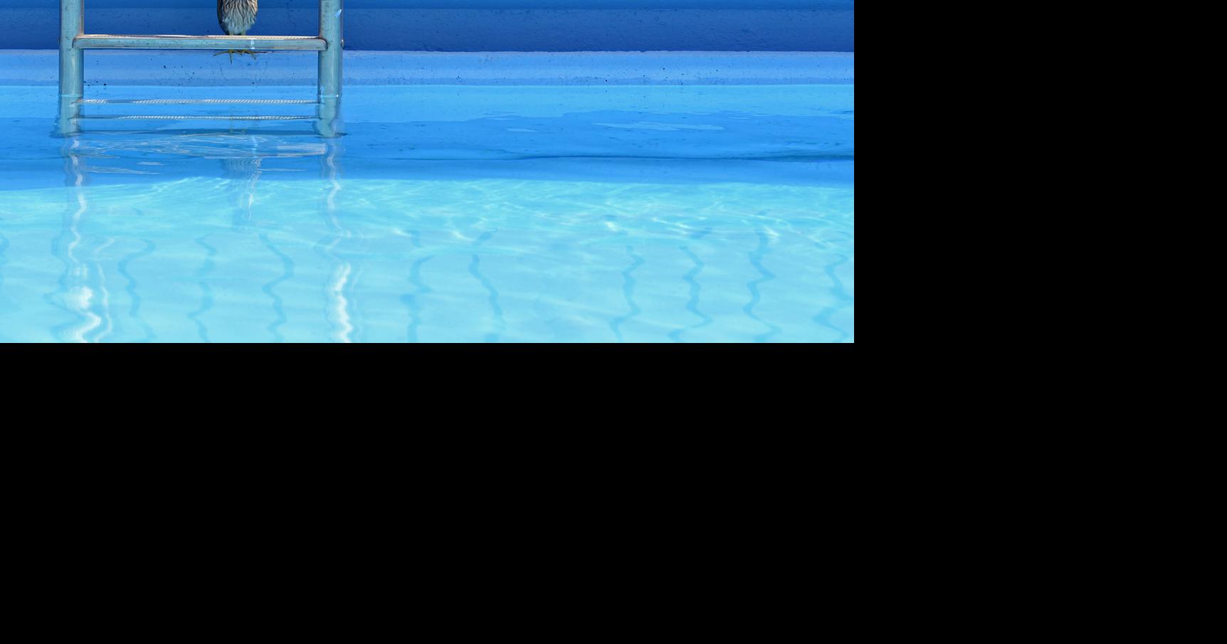 Du Quoin gets additional grant to refurbish pool | Latest Headlines ...