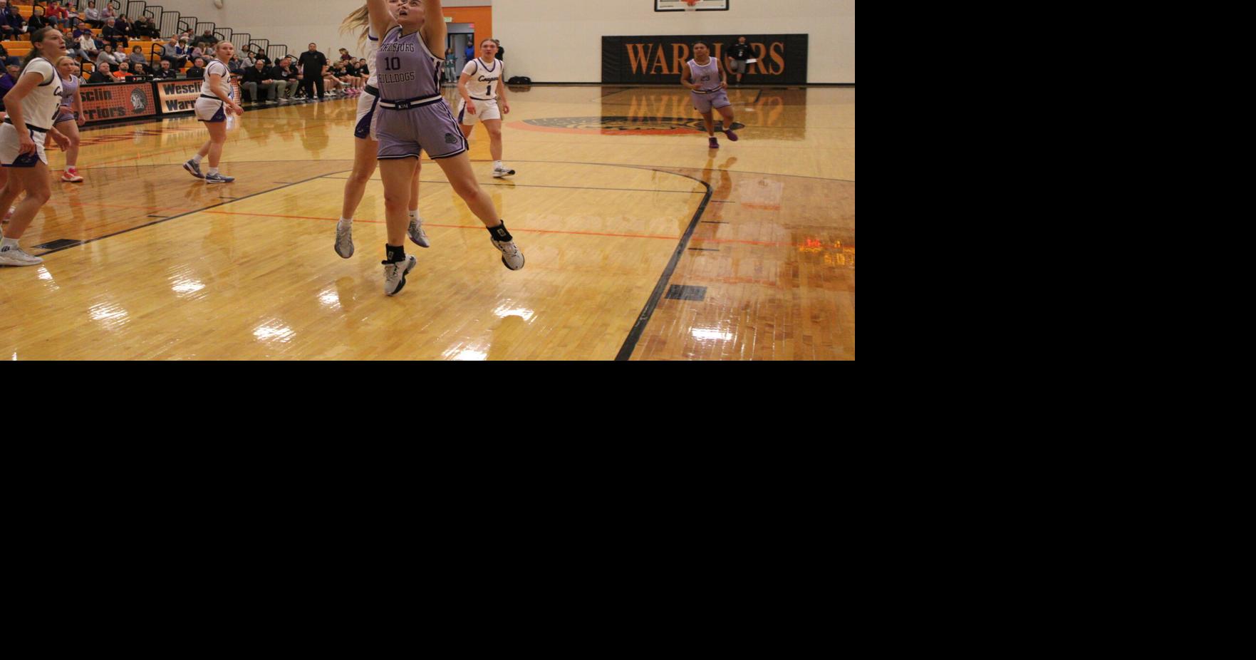 Breese Central, Nashville post wins at sectional | Latest Headlines ...