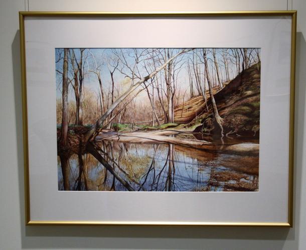 Outdoors | Sarah Capps' paintings draw viewers into Southern Illinois ...