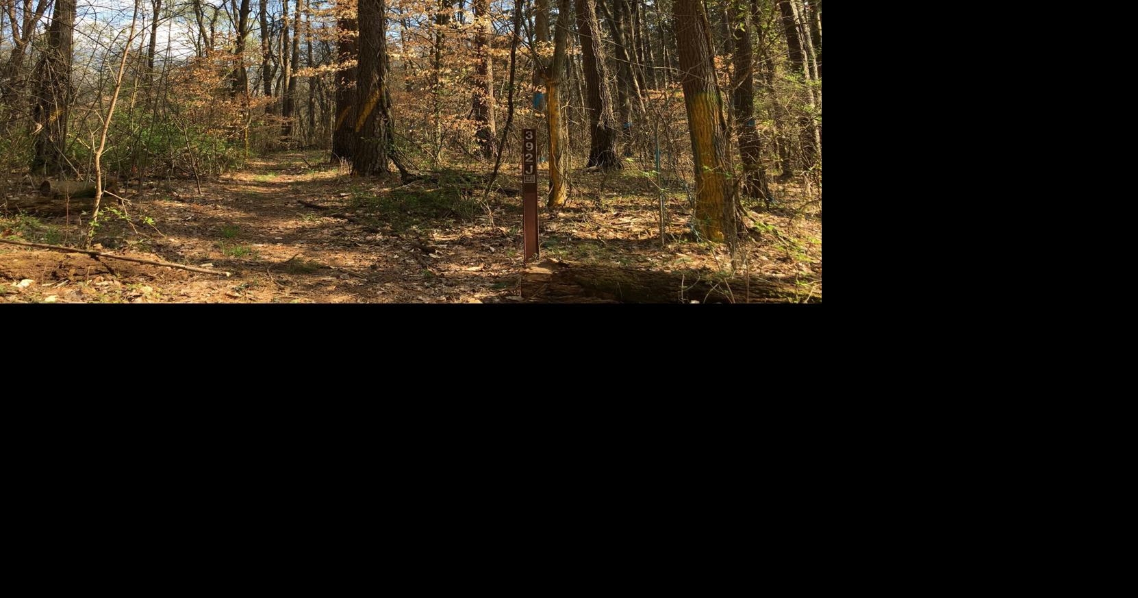 Guest View | Cade Bursell: Thinking about the future of Shawnee ...