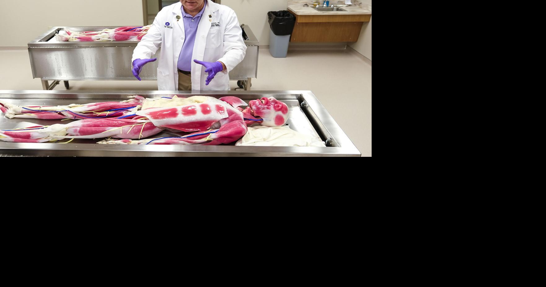 John A. Logan College | Cadaver model gives students a leg up on health ...
