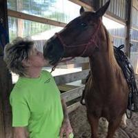 Giant City Stables opened Friday for the 2024 horse riding season ...