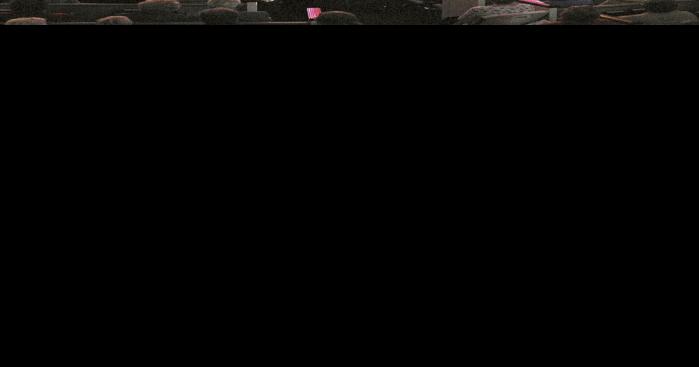 Church hosts living Christmas tree | Faith-and-values | thesouthern.com