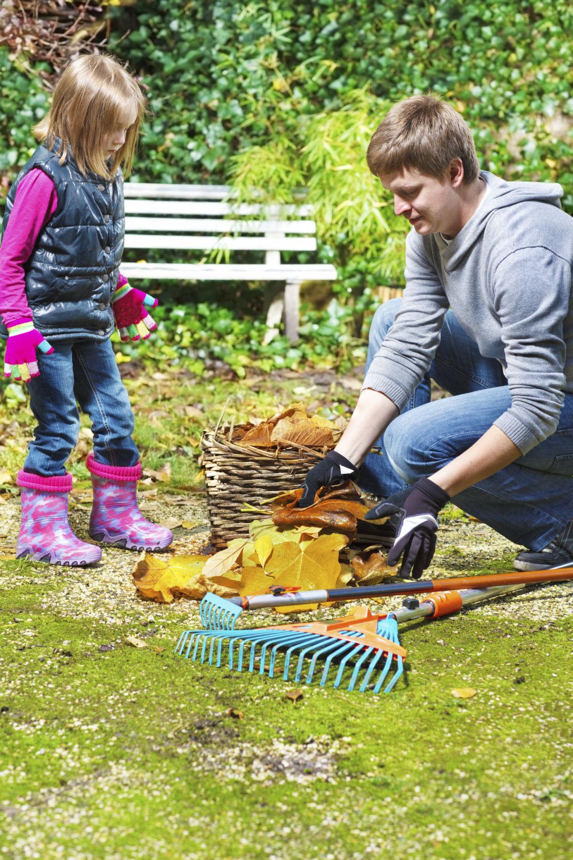 Your yard in a year: Month-to-month landscaping checklist | Highlights ...