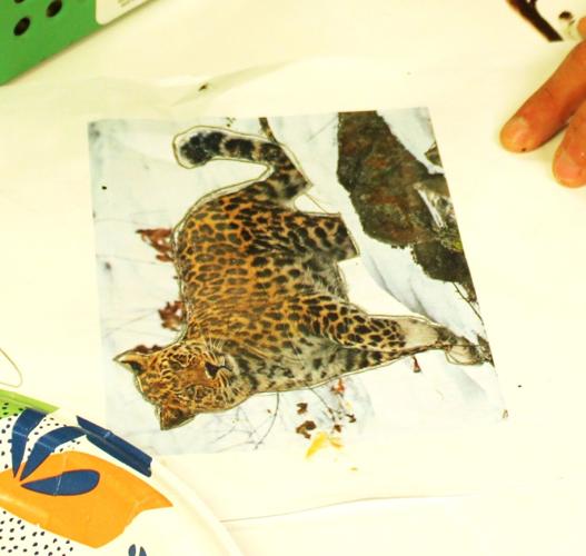 SIU campers explore art forms, make friends | Latest Headlines ...