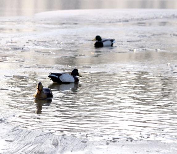 Left out in the cold: Duck hunting trip to Union County produces frozen ...