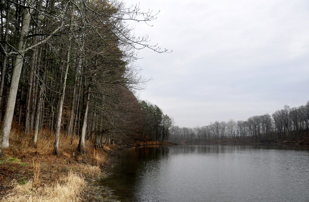 IEPA has no simple answer for State Pond | Local News | thesouthern.com