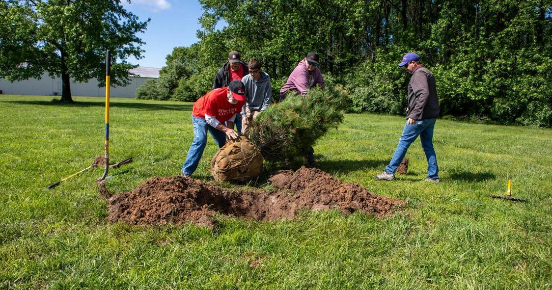 RLCF Children’s Center students join staff in tree planting for Earth ...