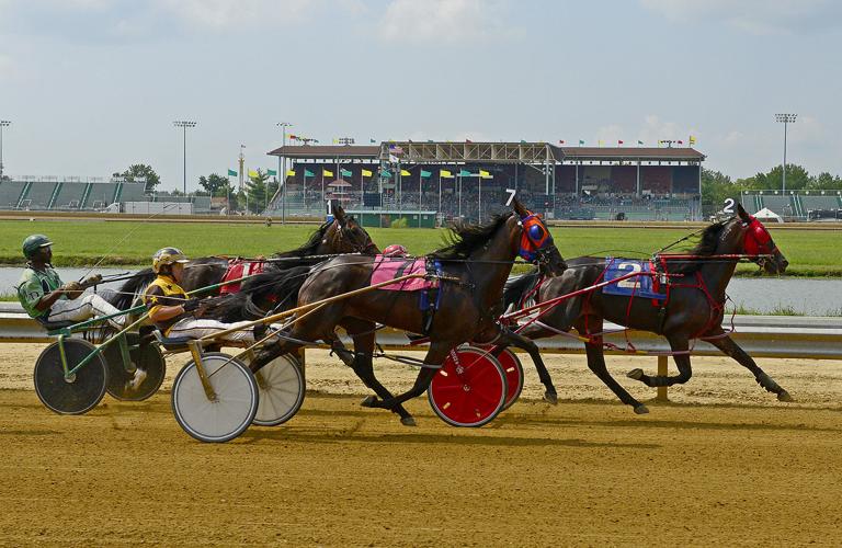 10 things to know before you go to the Du Quoin State Fair | Du Quoin ...