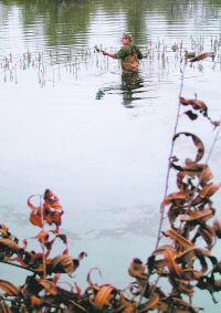 DUCK HUNTING AT MERMET | Sports | thesouthern.com