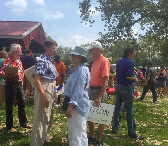 Sheila Simon announces bid for Illinois State Senate | Latest Headlines ...