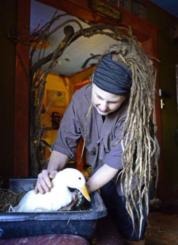 Makanda animal rescuers provide loving home to disabled animals ...