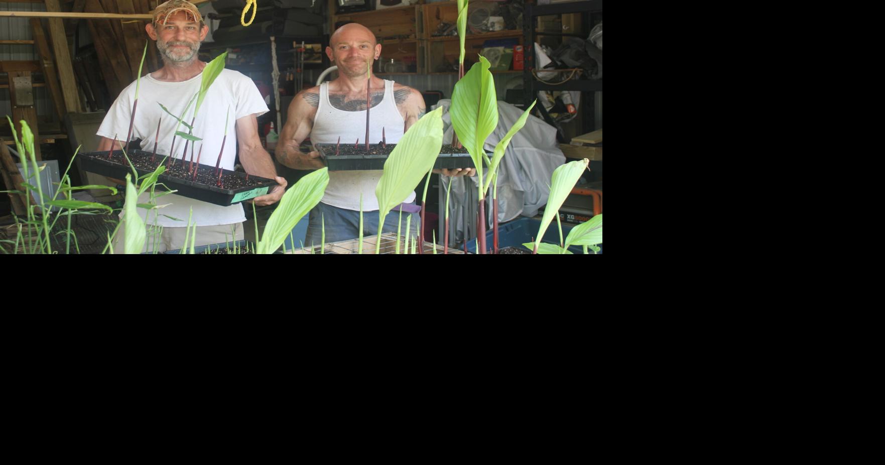 LGBTQ-owned spice farm is Southern Illinois made | People | thesouthern.com