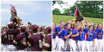 Cobden baseball, Nashville softball win state championships ...