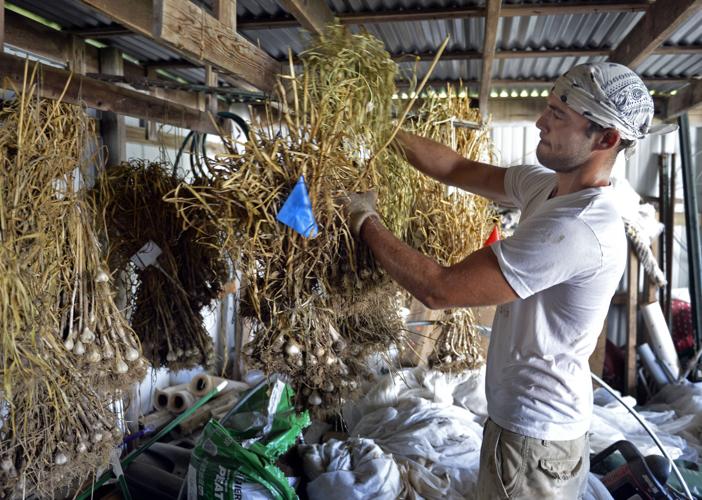 Cobden farm is latest to gain USDA organic certification | Environment ...