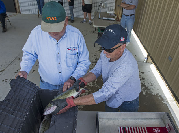 Smithton pair wins Boy Scout fishing tourney | Sports | thesouthern.com
