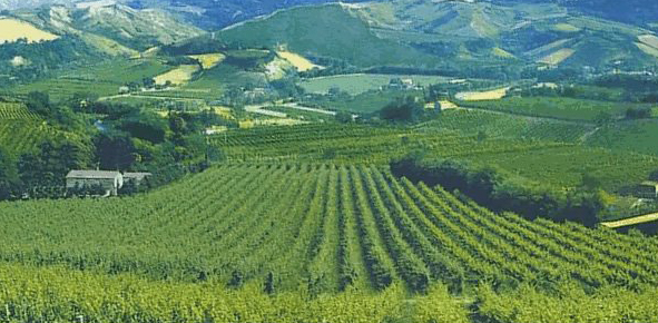 The adventure begins ... | Blog | thesouthern.com