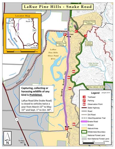 Snake Migration LaRue-Pine Hills | Latest Headlines | thesouthern.com