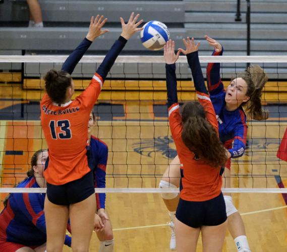 Prep Volleyball: Fairfield, Massac, Nashvillle top spikers | High ...