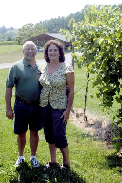 Harvest Moon owners developing vineyard from the ground up ...