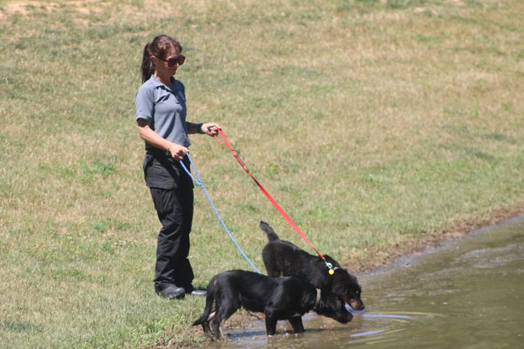 Rend Lake opens Franklin County's first dog park | People | thesouthern.com