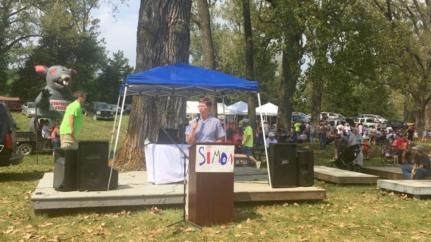 Sheila Simon announces bid for Illinois State Senate | Latest Headlines ...