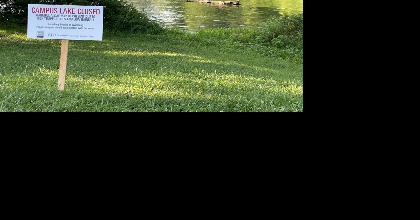 Algal blooms close SIU Campus Lake, again | SIU | thesouthern.com