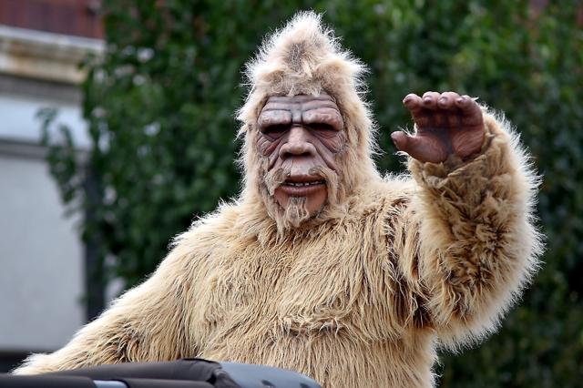 Strange sightings in Little Egypt: Do cryptids live in Southern ...