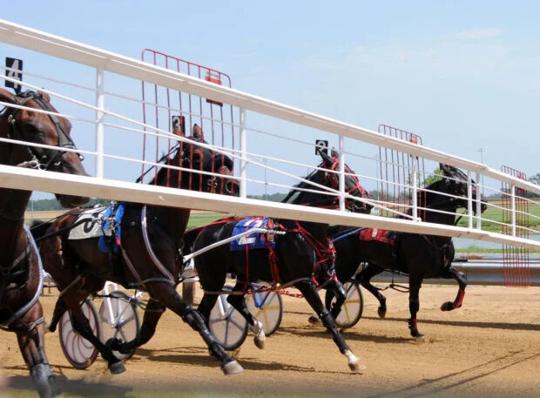 Du Quoin State Fair has released its track schedules for the fair ...