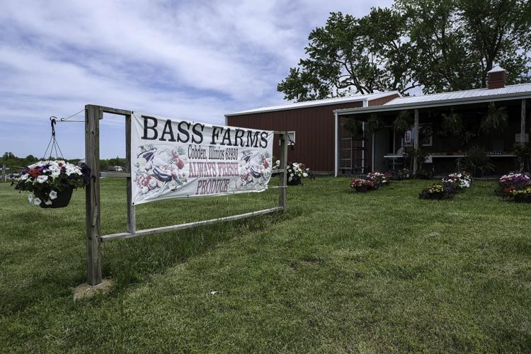 Bass Farms to host first of four "twilight meetings" of the growing ...