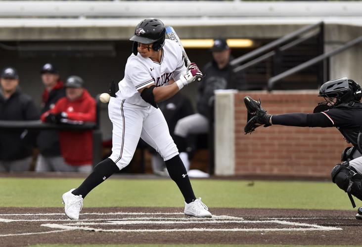 SIU Baseball | Salukis outlast Cougars, improve to 10-2 | Sports ...