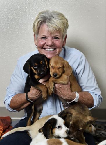 Profile | Do you know ... Diane Daugherty? | Magazine | thesouthern.com