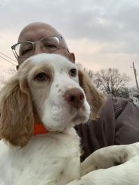 Outdoors | Harrisburg's Todd Lambert trains bird dogs, hunts quail ...