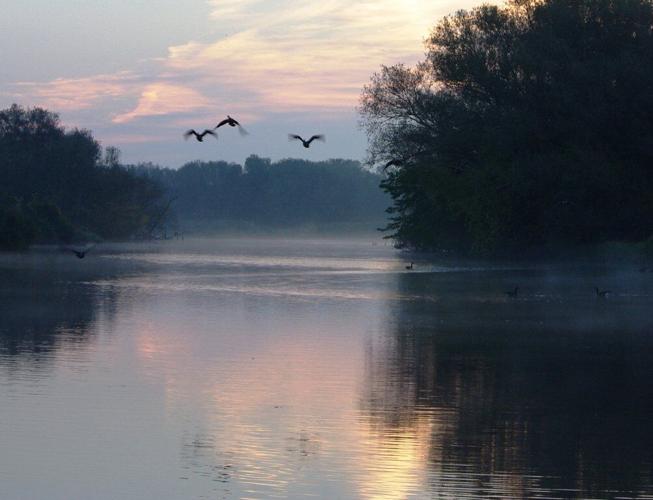Saving Paradise: the long road to rehabilitate Cootes
