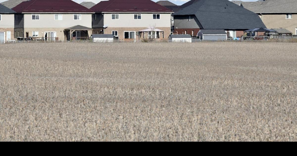 Did developers get advance sign-off on Hamilton growth plan?