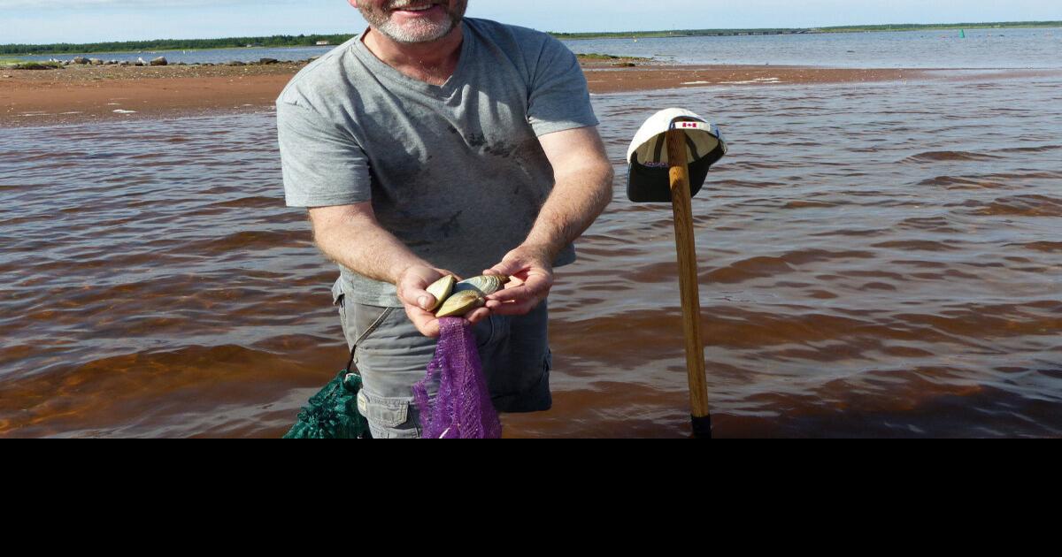 How to go shellfish foraging in P.E.I.
