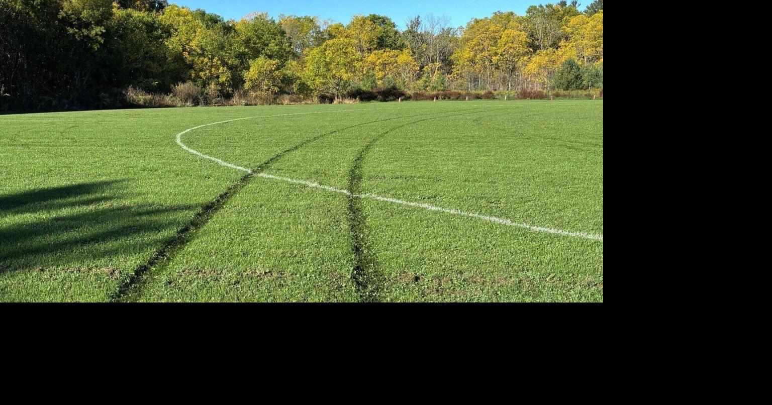 Repeated vandalism of a Brant cricket field raises concerns