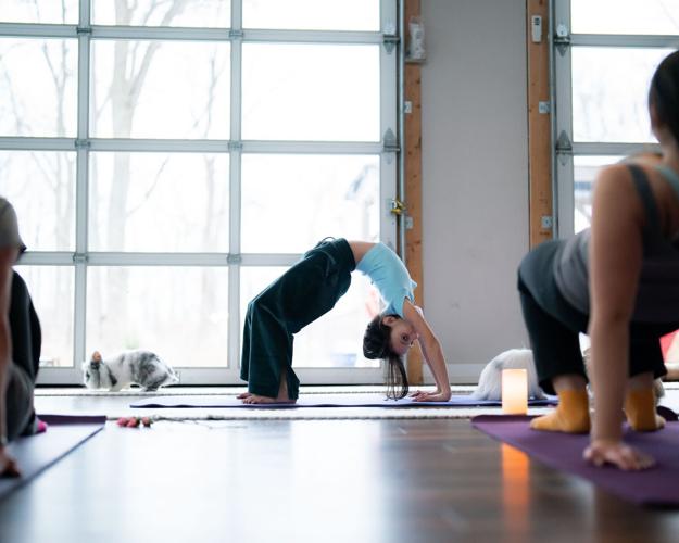 Burlington farm offers bunny yoga