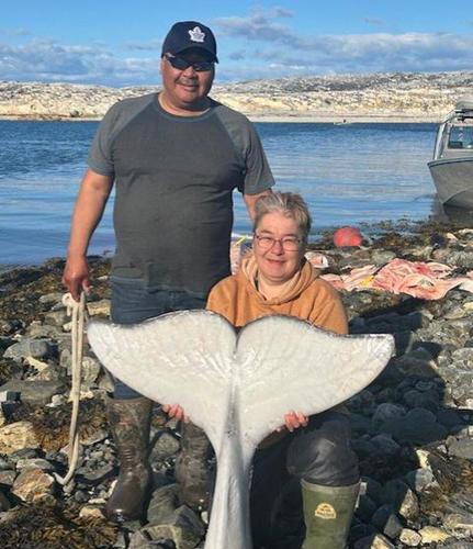 Two from Rankin Inlet each land their first beluga whale at Marble Island