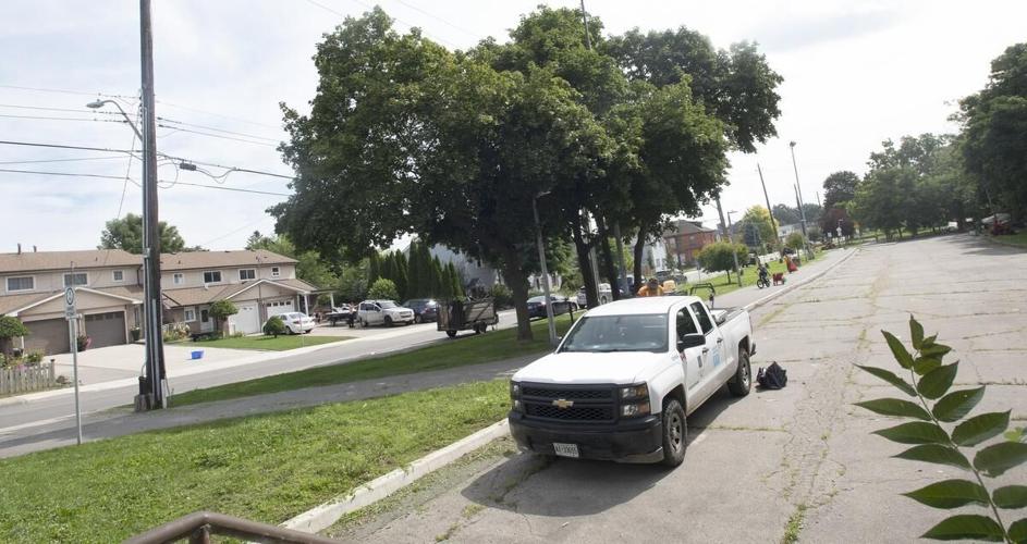 Hamilton backs encampment ‘protocol,’ supports tiny cabins